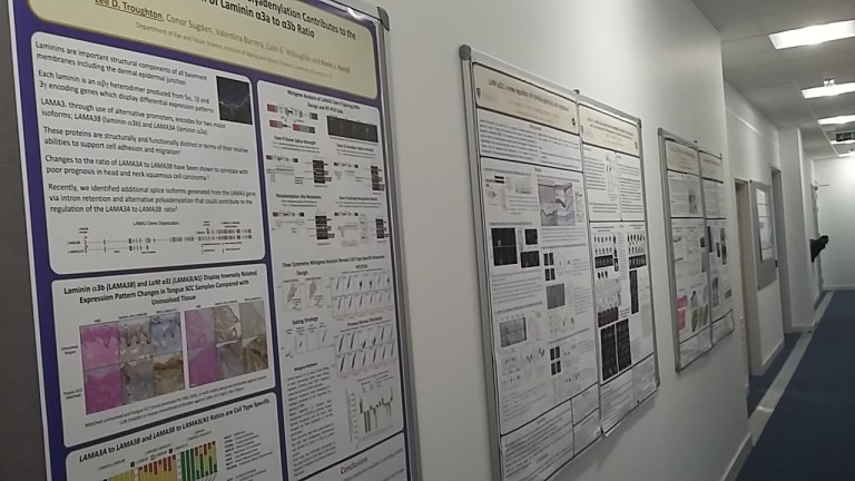 Preparing Scientific Posters – LaNts and Laminins