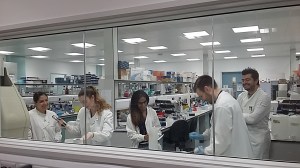 MRes: Introduction to Lab Skills Practical Class – LaNts and Laminins