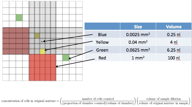 Lab skills quiz – Tissue / Cell Culture – LaNts and Laminins