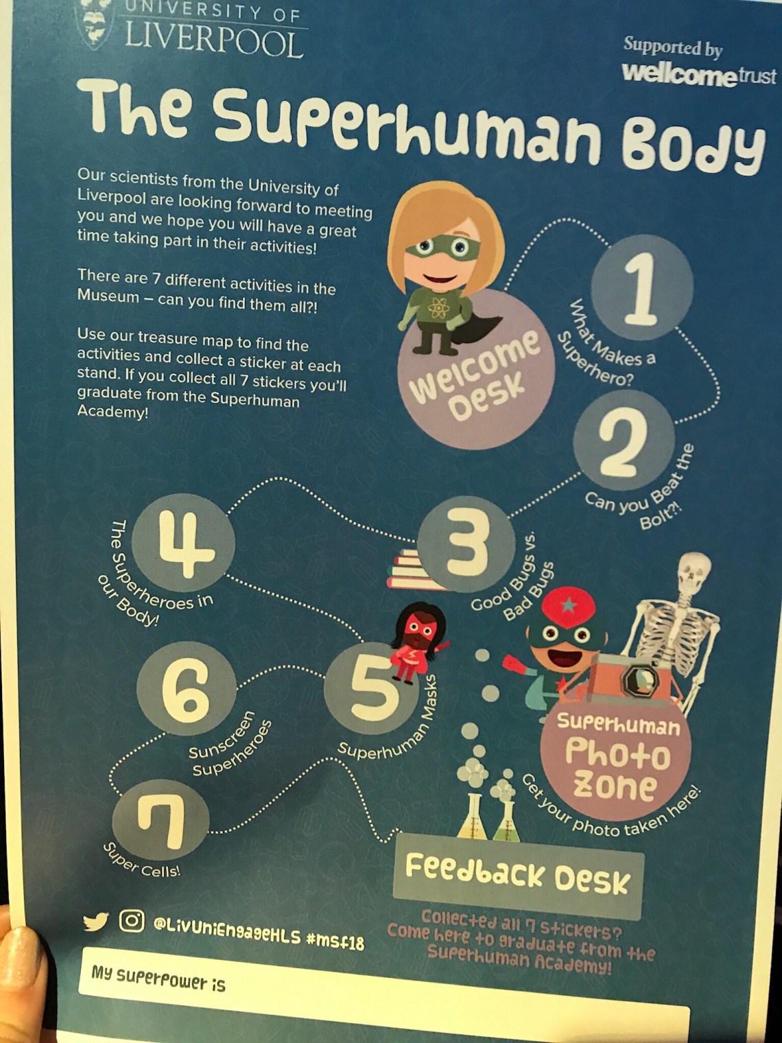 Superhero sunscreen? – LaNts and Laminins