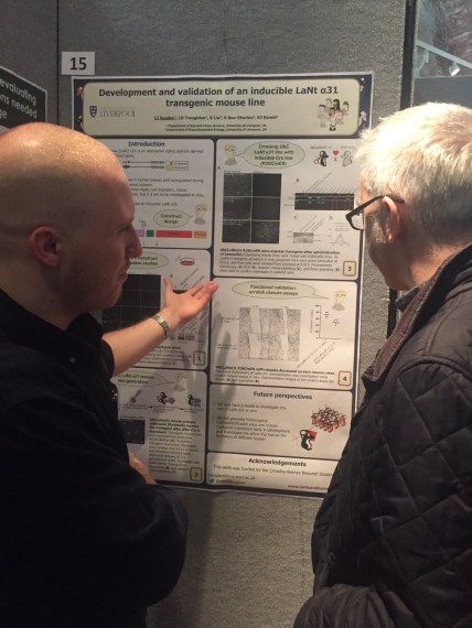 Preparing Scientific Posters – LaNts and Laminins