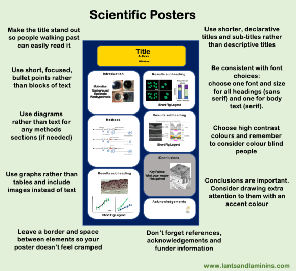 Preparing Scientific Posters – LaNts and Laminins