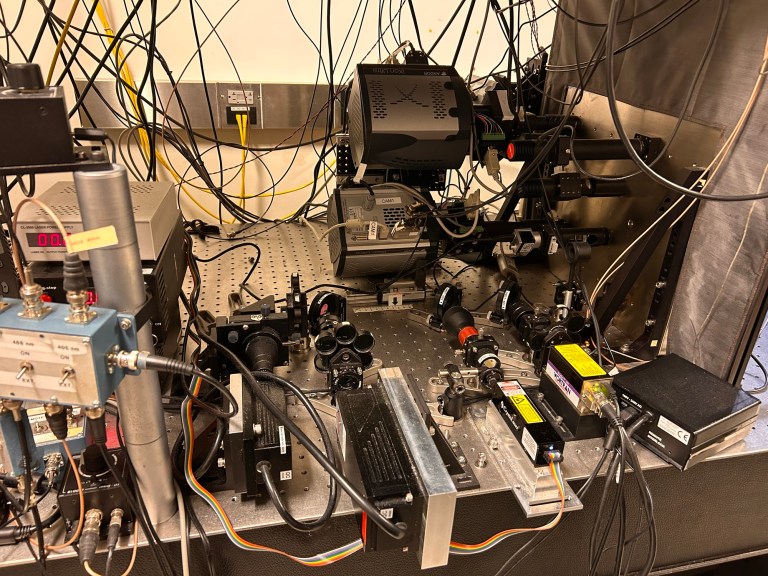 You can see a lot by looking – Using the best microscope in the world ...