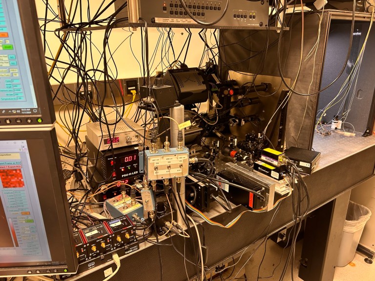 You can see a lot by looking – Using the best microscope in the world ...